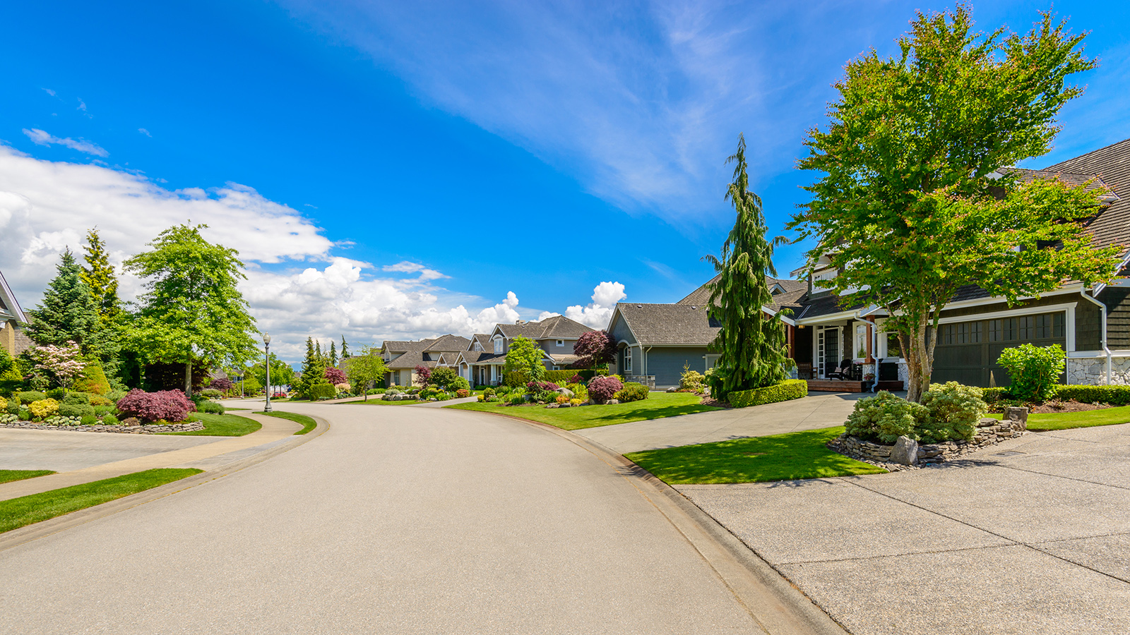 Mortgage Options - Mortgage Intelligence